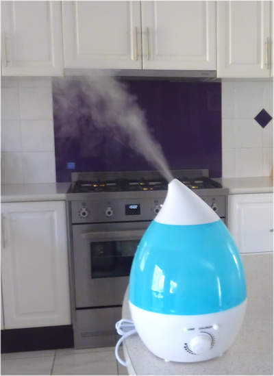 Ultrasonic Salt Therapy Air Pod Humidifier and Adaptor Plug – Natures ...